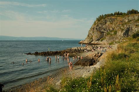 41045 Fotos Y Imágenes De Naturistteenschool Gratis · Banco De