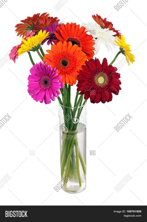 Bouquet Multi Colored Image And Photo Free Trial Bigstock
