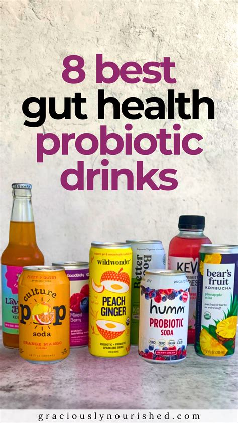 8 Probiotic Beverages To Sip On For A Healthy Gut Artofit
