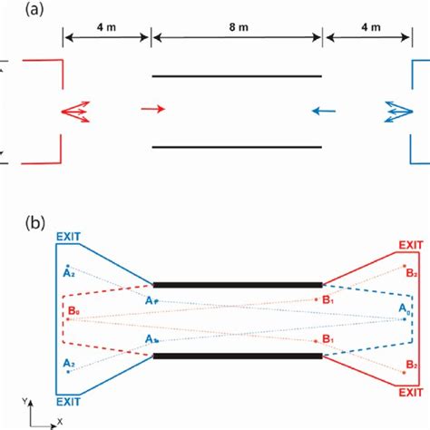 A Schematic Illustration Of The Bidirectional Experiment By Zhang