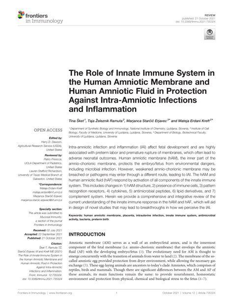 Pdf The Role Of Innate Immune System In The Human Amniotic Membrane