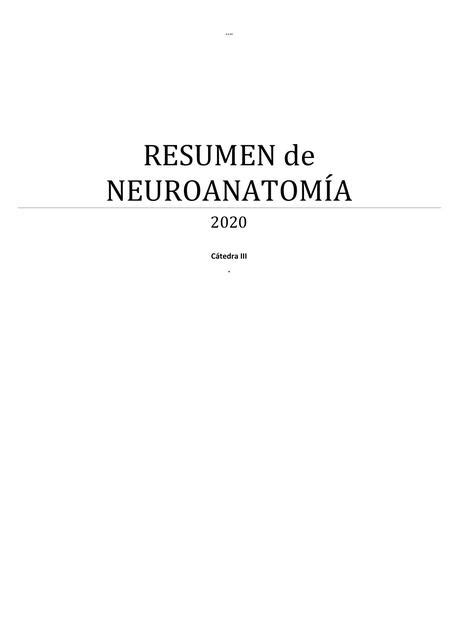 Resumen De Neuroanatomía Candela Udocz