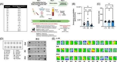 Preparation Of Peripheral Blood Small Extracellular Vesicle Sev Rna