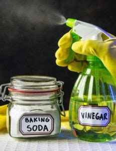 Eco Friendly Carpet Cleaning Brands That Dont Sweep The Environment Under The Rug