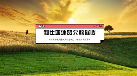 Debt Collection In Libya 你遇到过利比亚客户拖欠货款吗？来看看别人是如何应对的