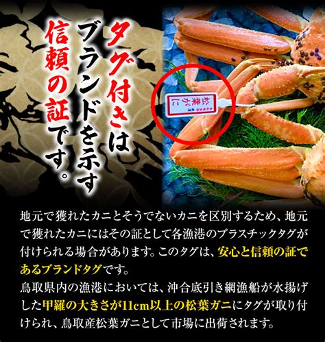 【楽天市場】【ふるさと納税】【活き】タグ付き松葉ガニ 大2枚入り1枚あたり800～940g 高間商店《11月上旬 3月下旬頃出荷》鳥取県