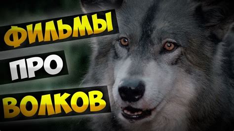 Фильмы про волков и дружбу Youtube