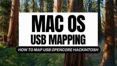 How To Map Usb For Macos Opencore Hackintosh On Windows Youtube