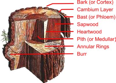 Tree Structure DT Online