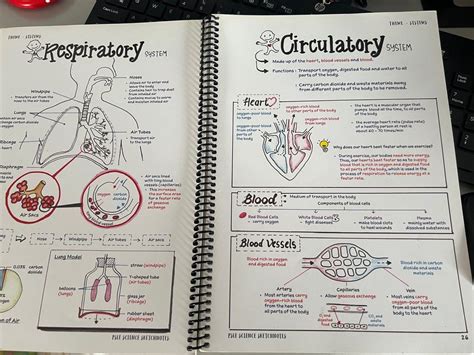 Psle Science Sketchnotes Hobbies And Toys Books And Magazines Textbooks