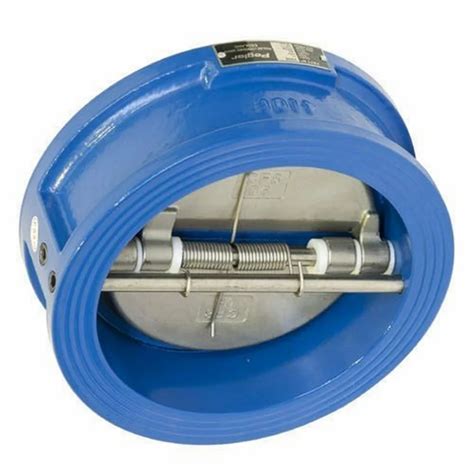 4 Inch Ss Non Return Valve At ₹ 2000 Piece Ss Nrv Valve In Chennai