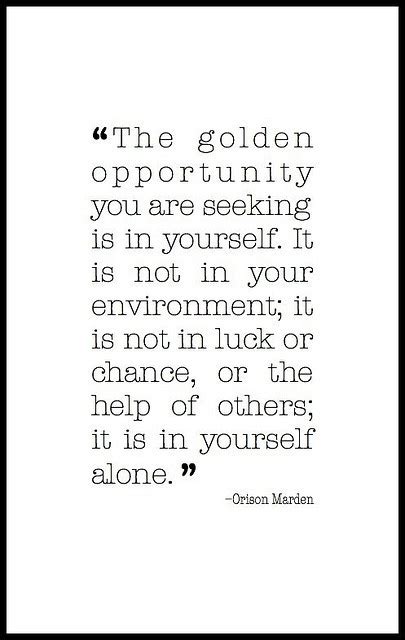 The Golden Opportunity The Help