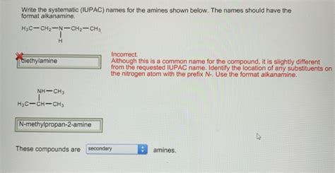 Solved Write the systematic (IUPAC) names for the amines | Chegg.com