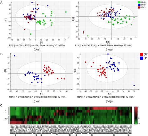 Multivariable Analysis Results Among Groups A Pls‐da Score Plots Of