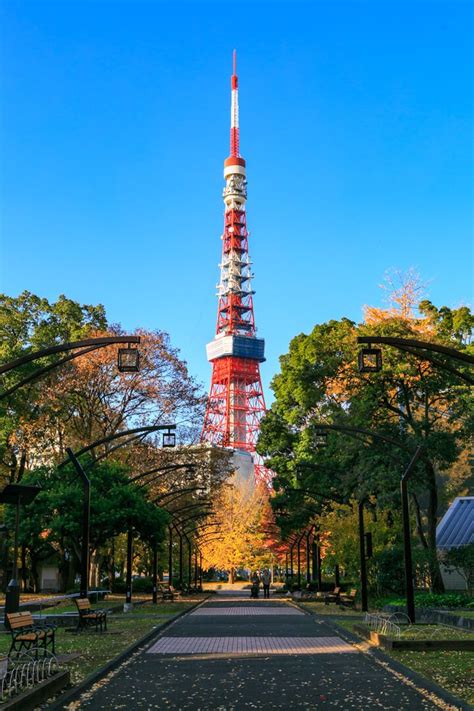 【保存版】東京タワーのおすすめ撮影スポットまとめ Smartpartyjp 東京タワー 都内 夜景 東京タワー イラスト