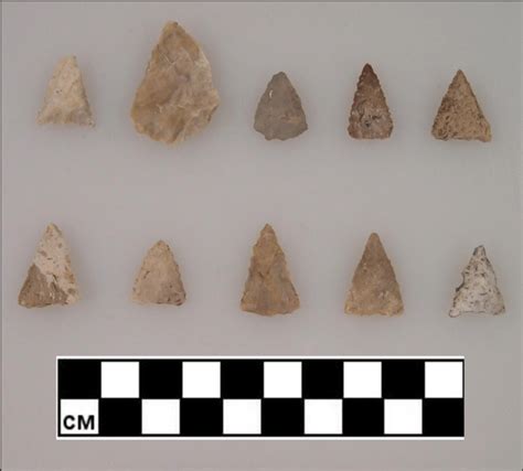 2 Triangular Projectile Points From Crescent Bay Hunt Club Download