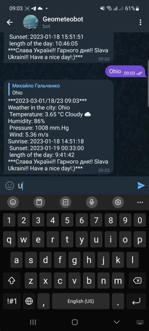 Create Bot For Social Media And Messengers In Python For You By