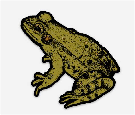 Froggie — Nature Walk