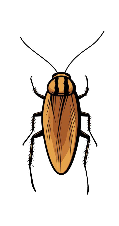Cockroaches GT Pest Control