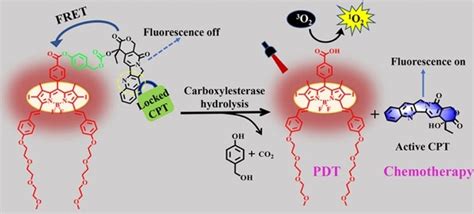 Recent Advances In The Enzyme‐activatable Organic Fluorescent Probes