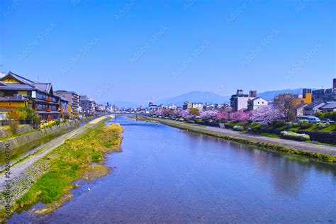 Foto De 京都、春の桜咲く五条大橋から見た鴨川の風景 Do Stock Adobe Stock