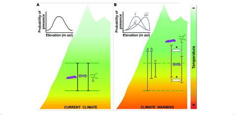 schematic representation of possible scenarios of species