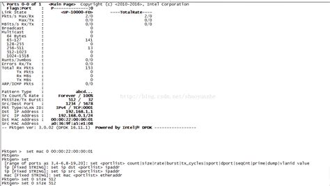 Pktgen Dpdk使用总结 Pkdgrev Csdn博客