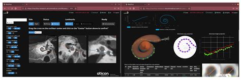 jcm free full text a web based automated image processing research