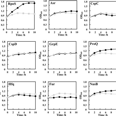 Growth Profiles Of E Coli Strains With Double Expression Of Molecular