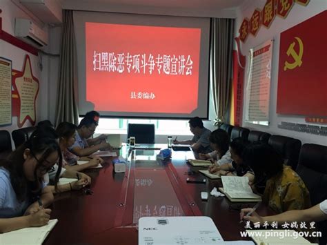 县委编办召开扫黑除恶专项斗争专题宣讲会 平利县人民政府