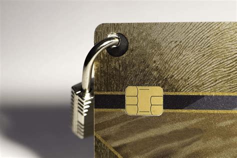 What Are PCI DSS And PTS And Why Are They Important For Your Business MyPOS Blog