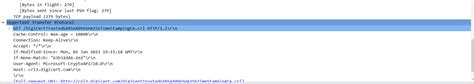 动手实操 Wiresharkwireshark 实战 Csdn博客