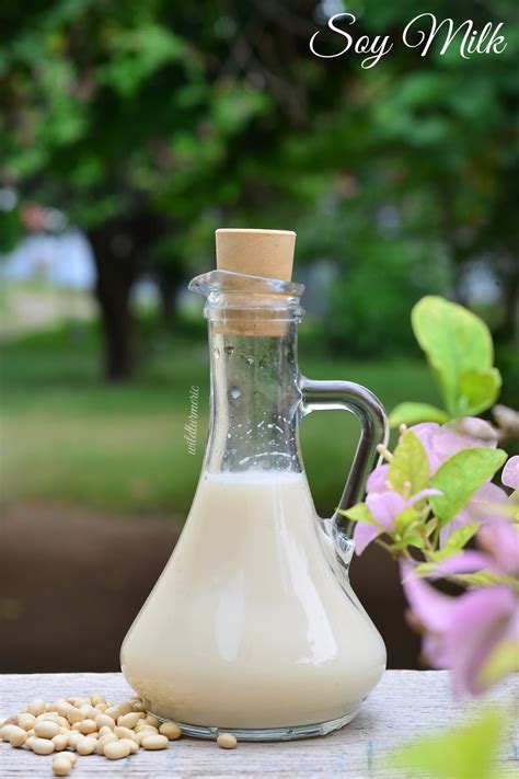 5 Top Soy Milk Benefits Side Effects And Nutrition Wildturmeric