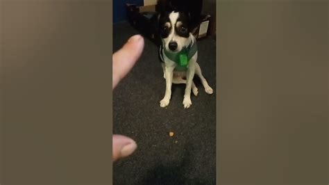 Cook Chook Smackos Youtube