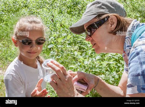 Teacher And Student Examining An Insect In A Jar Stock Photo Alamy