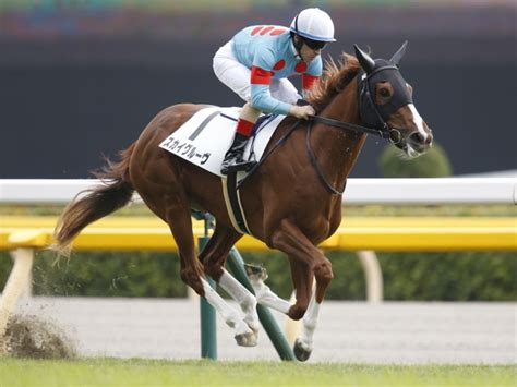 フローラステークス2020｜最終予想｜4月26日日東京11r｜今年も3歳重賞は波乱傾向強し、穴馬を2頭絡めて勝負する！本命はアノ馬から配当