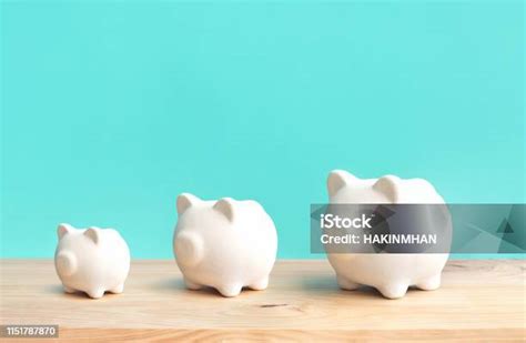 나무 테이블 배경에 돼지의 3 크기와 돈과 금융 개념을 성장 저축 및 투자 개념에 대한 스톡 사진 및 기타 이미지 개념 개체 그룹 경영자 Istock