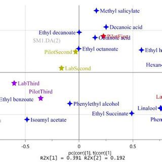 Partial Least Square Discrimination PLS DA Analysis Of Volatile