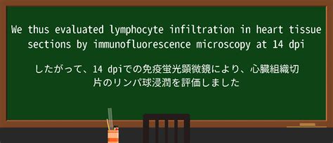 【英単語】immunofluorescence Microscopyを徹底解説！意味、使い方、例文、読み方 おもしろい英文法