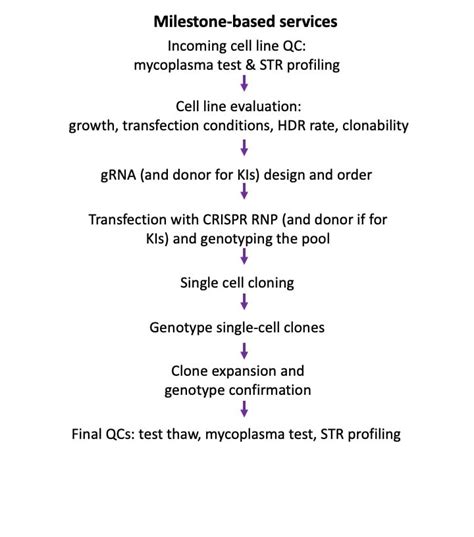Cell Line Engineering The Genome Engineering Stem Cell Center Washington University In St