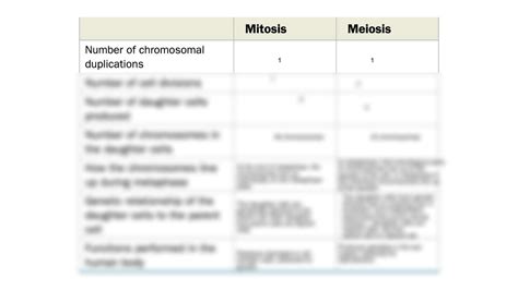 SOLUTION Mitosis And Meiosis Worksheet Studypool