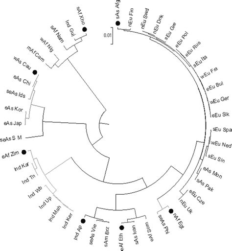 Phylogenetic Tree Of 45 Geographically Assorted Human Populations For