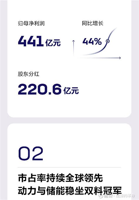 宁德时代2023年储能营收同比大增业务毛利率同比增长近40 营收与增长 宁德时代 2023年储能营收599亿元同比增长33 17 占