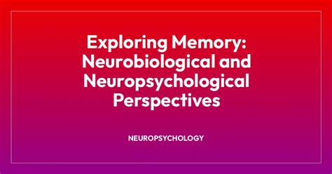 Exploring Memory Neurobiological And Neuropsychological Perspectives