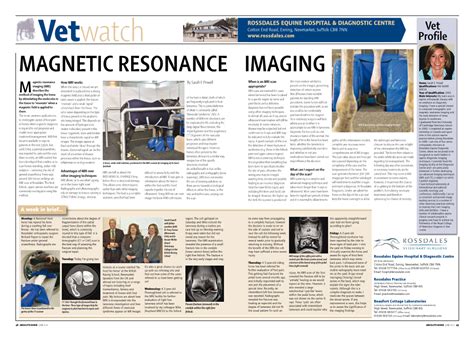 Magnetic Resonance Imaging The More Motion Artefact Is Agnetic