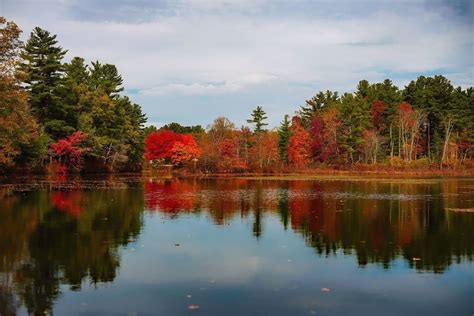 Imagen gratis Árboles agua maderas nube ambiente lago paisaje montaña naturaleza