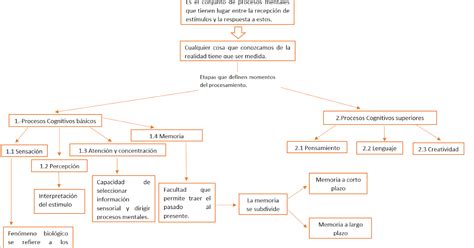 Procesos Cognitivos Básicos Y Superiores