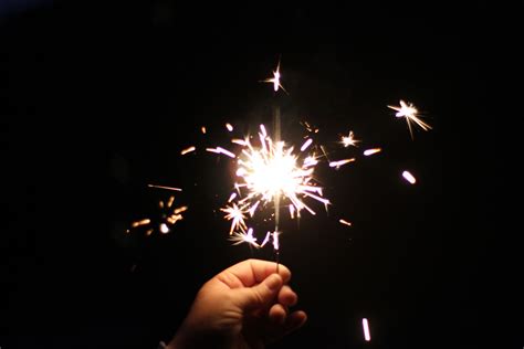 Muggle Dumbledore Hippogriff And 11 More Real Words From Harry Potter Merriam Webster