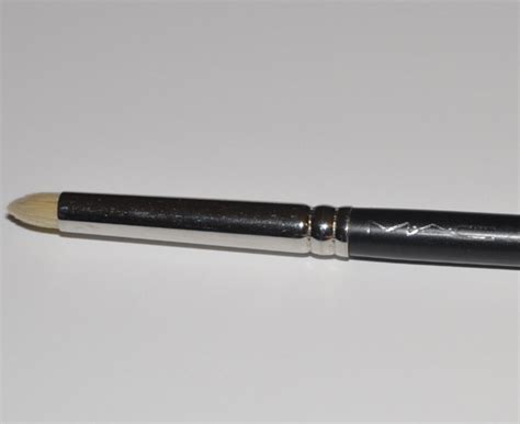 MAC 219 Pencil Brush Photos Review