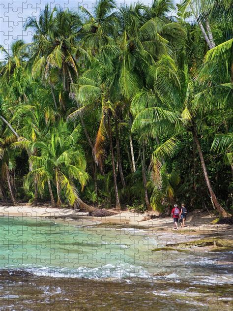 A Hike Through A Beachside Forest Jigsaw Puzzle By Matthew Micah Wright